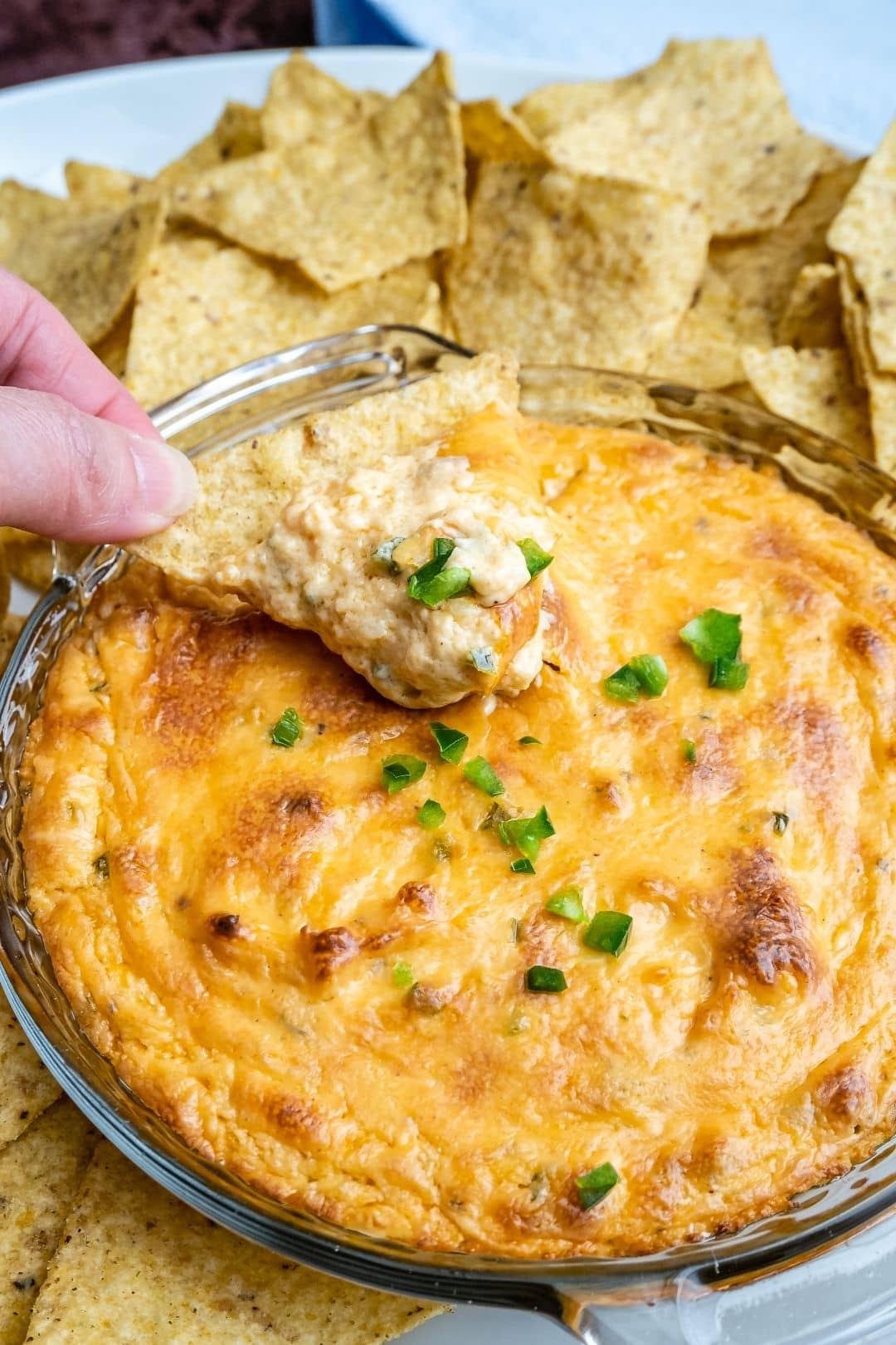 Best Cheese Dip - Top Recipes