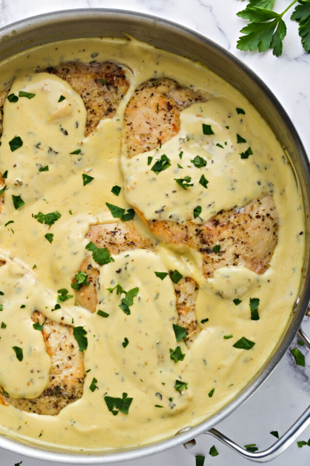 Creamy Herb Chicken Recipe - Top Recipes