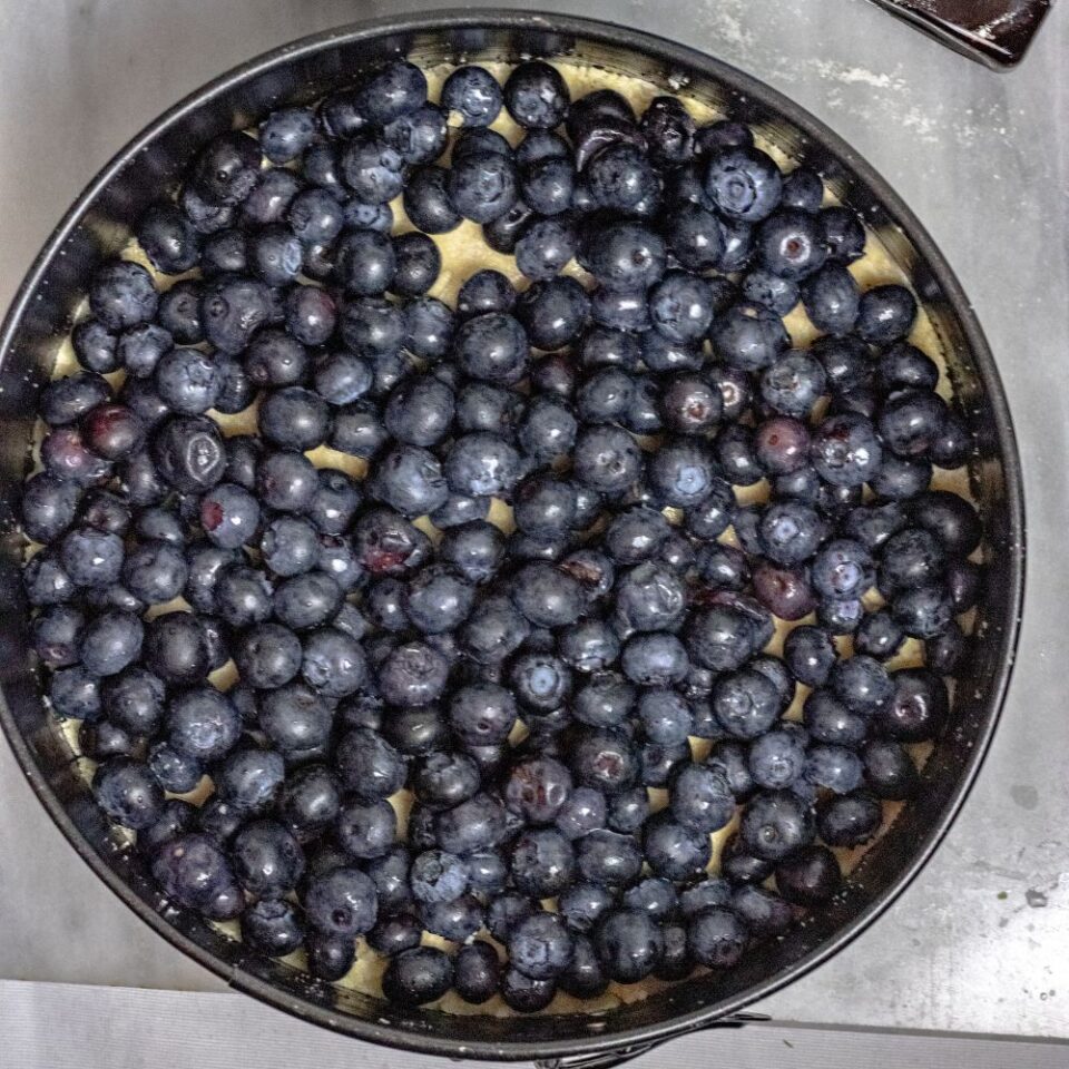 Nova Scotia Blueberry Cream Cake - Top Recipes