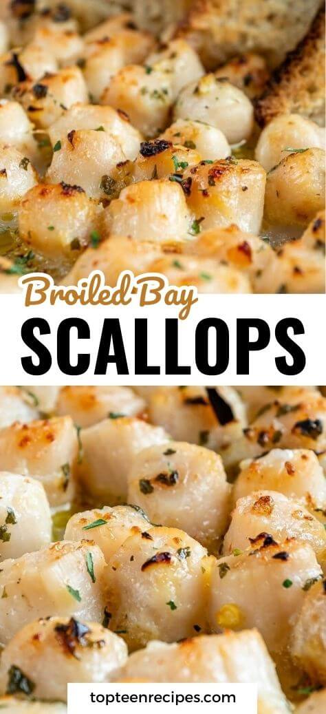 Broiled Bay Scallops - Top Recipes