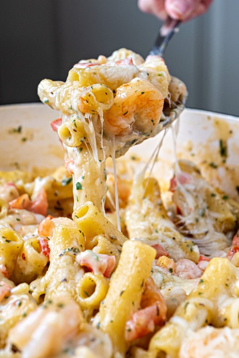 Shrimp Alfredo Bake Recipe - Top Recipes